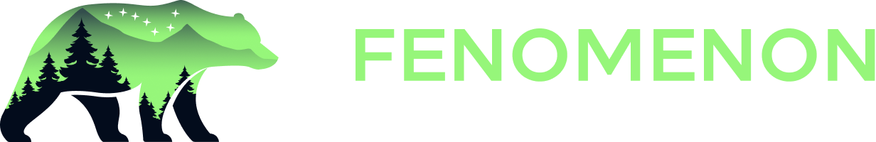 Fenomenon Aviation Management